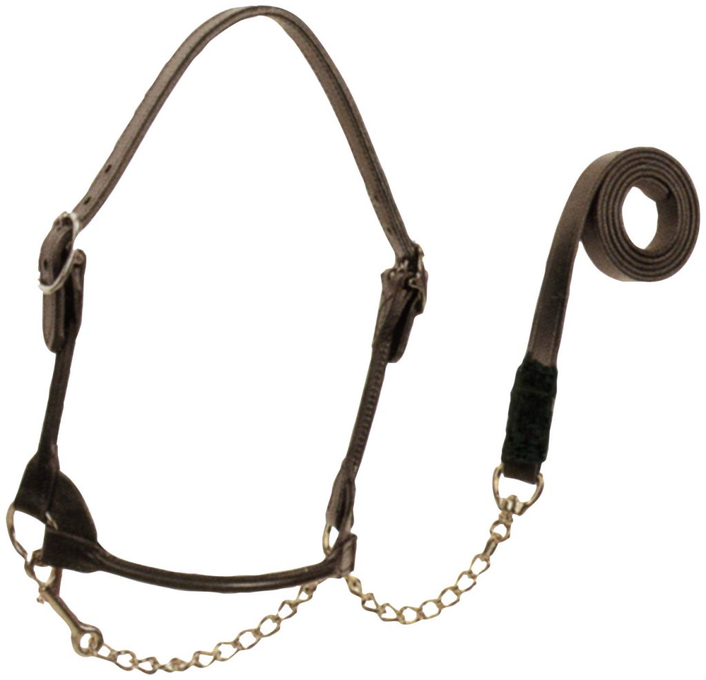 CHR Leather Cow Halter – Hillside Harness, Ltd.