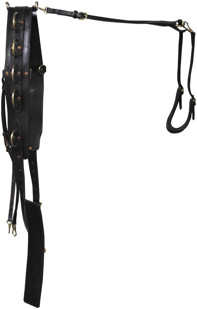 Heavy Duty Bitting Rig – Hillside Harness, Ltd.